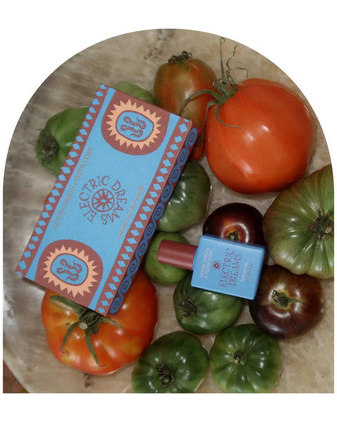 Gentle Habits | Herman Store